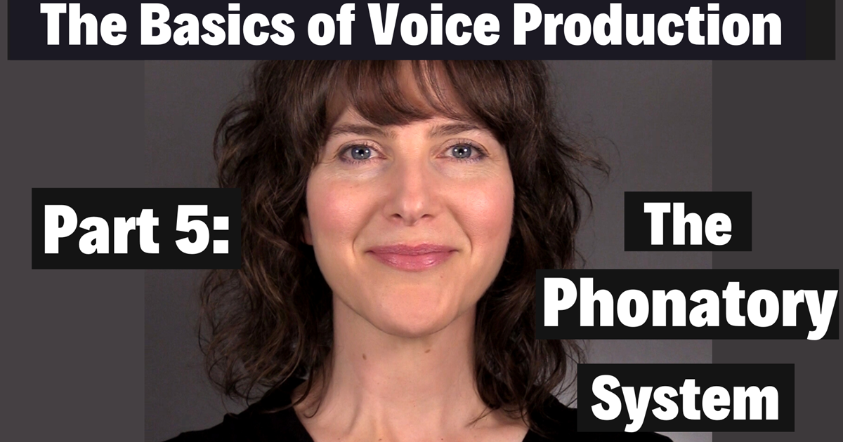 Project a Confident Voice with SOVT Exercises pdf | Semi-Occluded Vocal ...